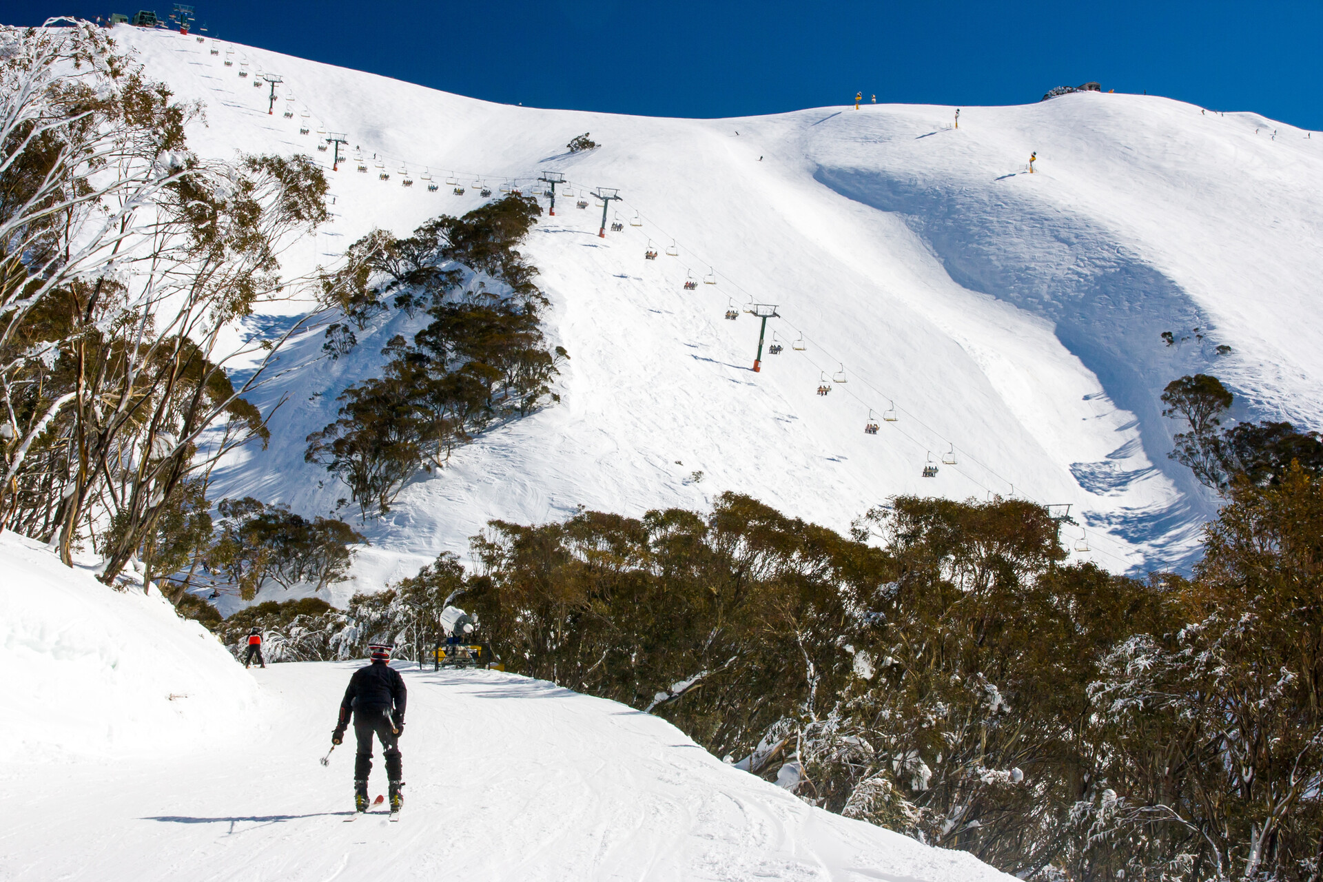 Skiing in Australia - 5 good reasons