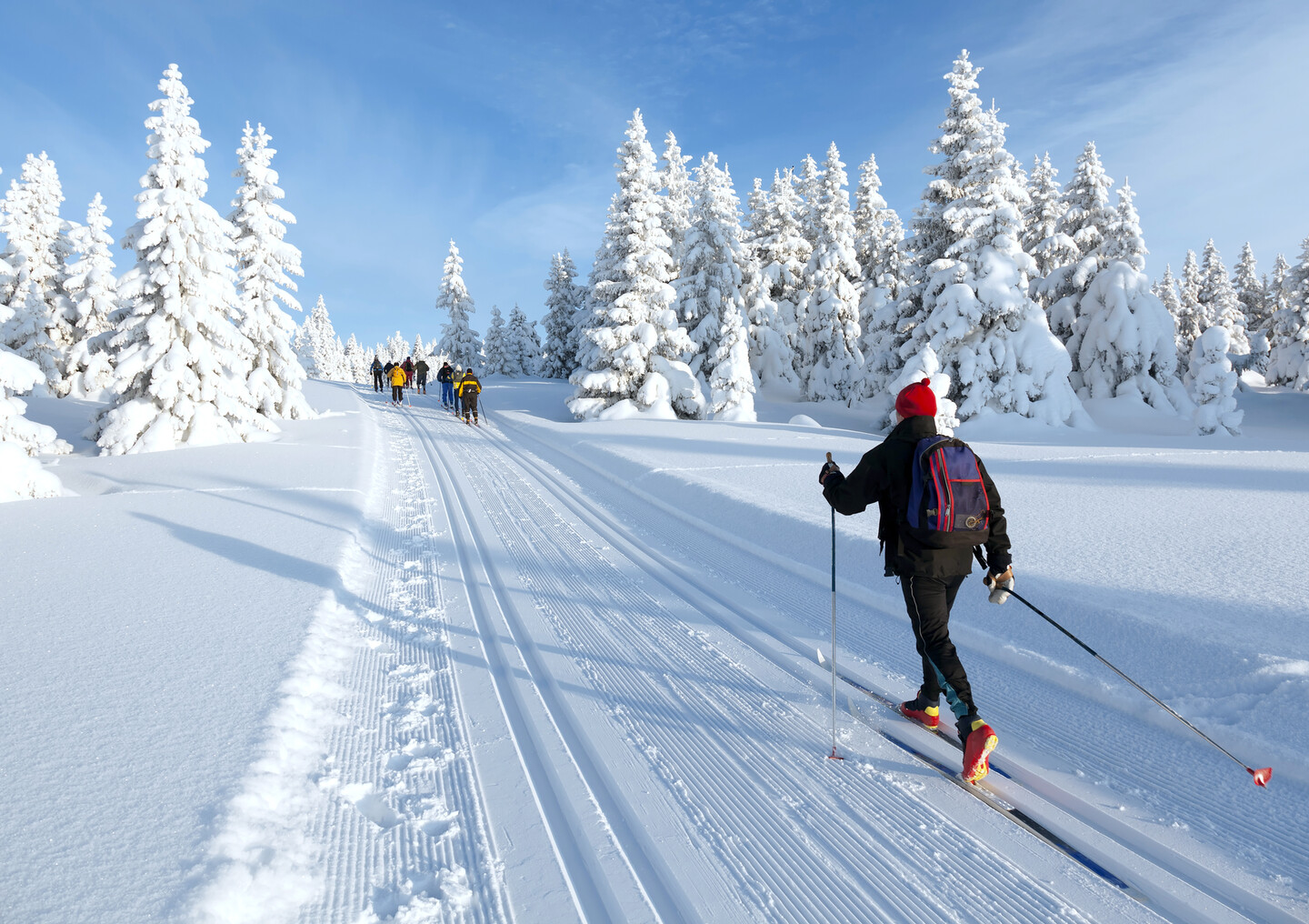 10 Top Cross-country regions - Popular Cross-country skiing trails & areas